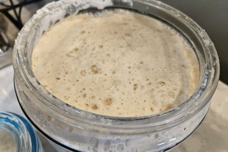 The Difference Between Sourdough Starter and Leaven: When to Use Each ...